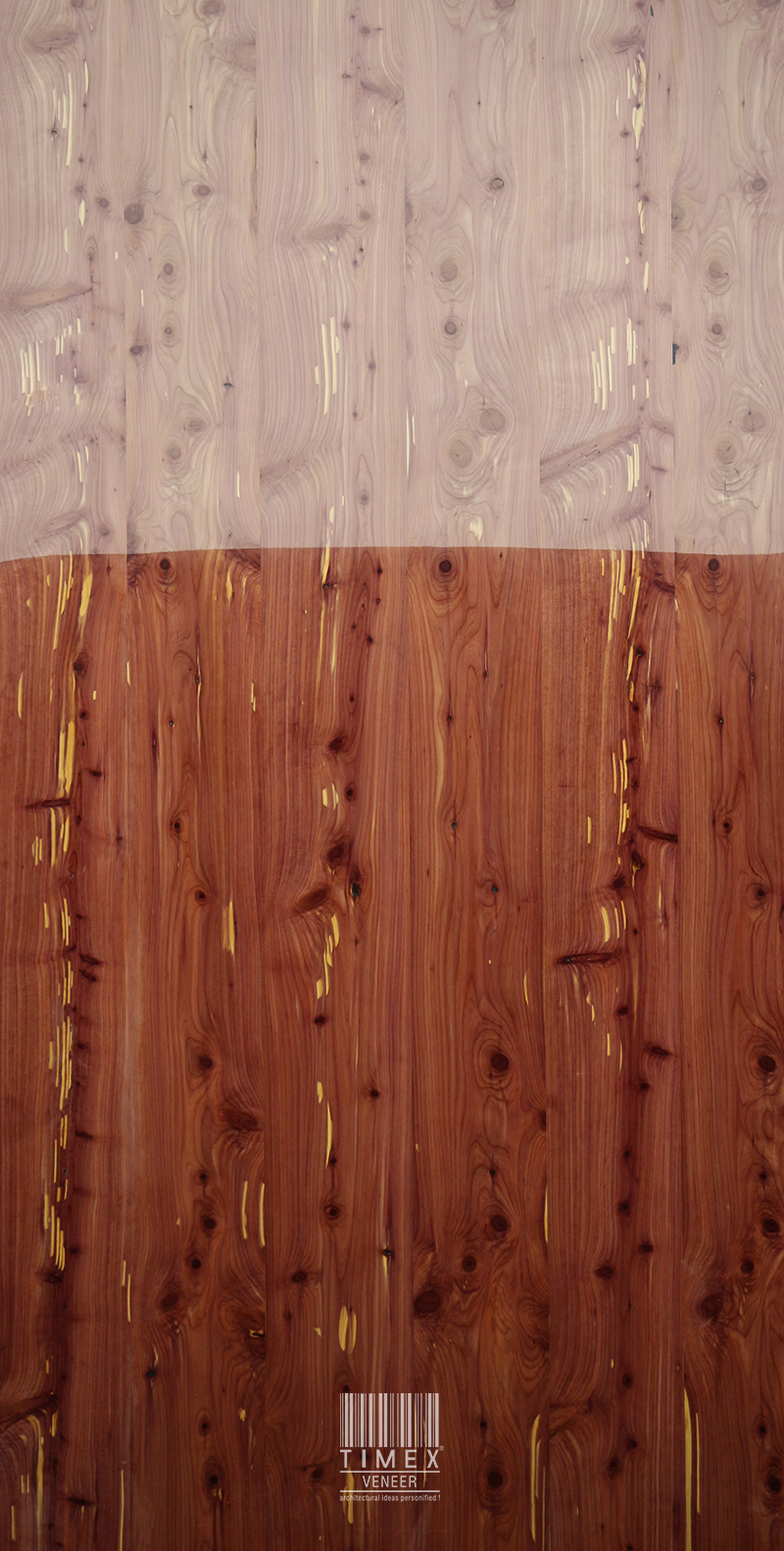 AROMATIC CEDAR - Timex Veneer