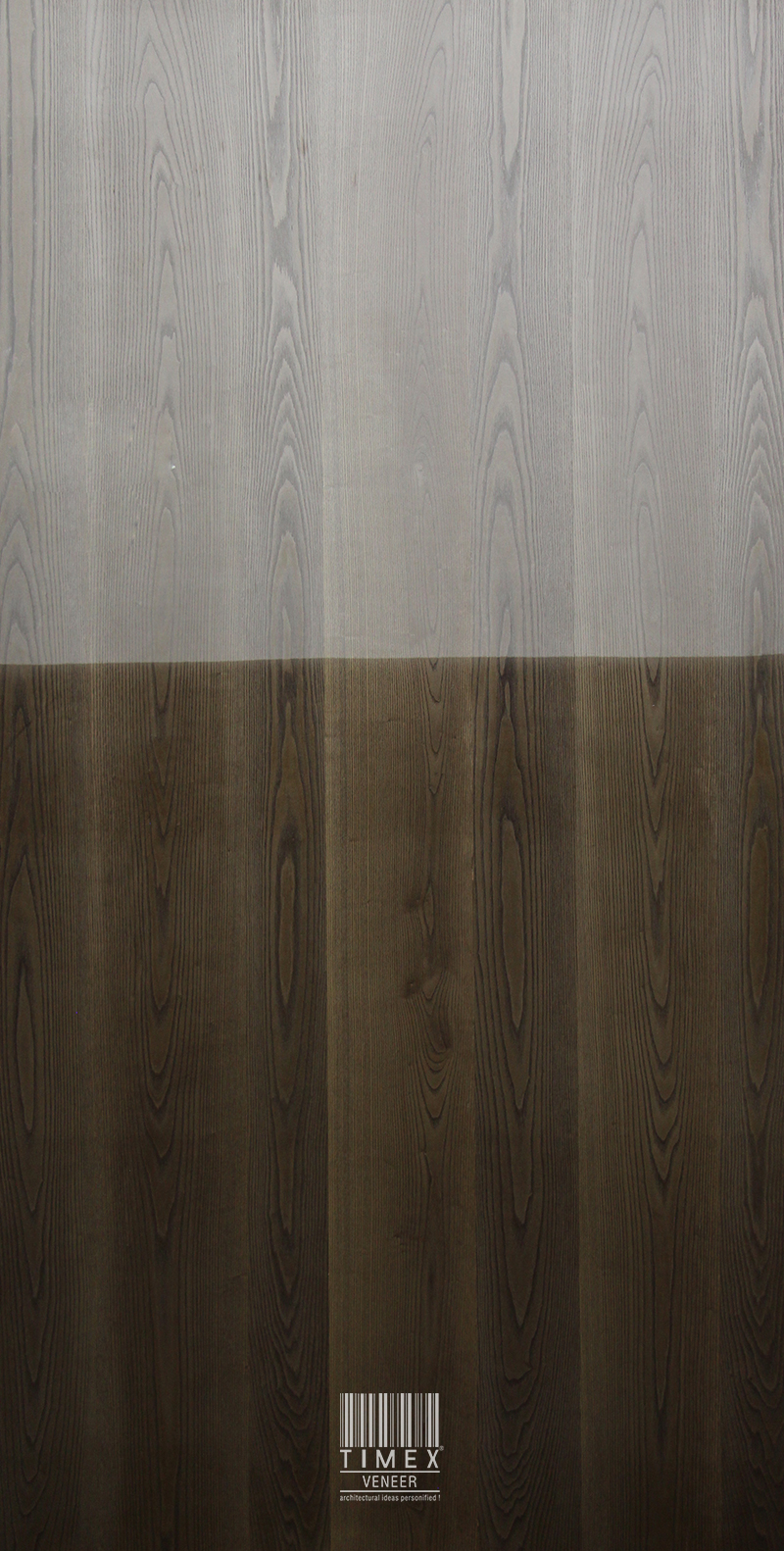 COCO ASH - Timex Veneer