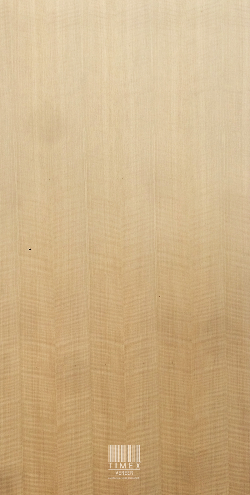 FIGURE WHITE OAK - Timex Veneer