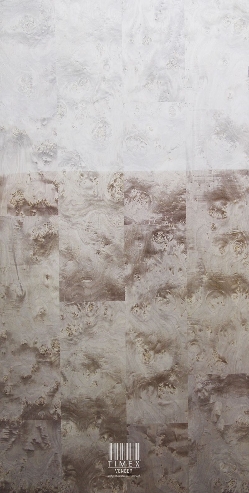 GREY SEPIA - Timex Veneer