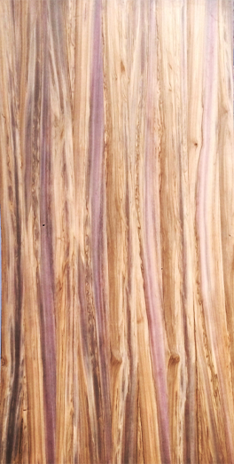 Stone Wash Blue Features - Timex Veneer