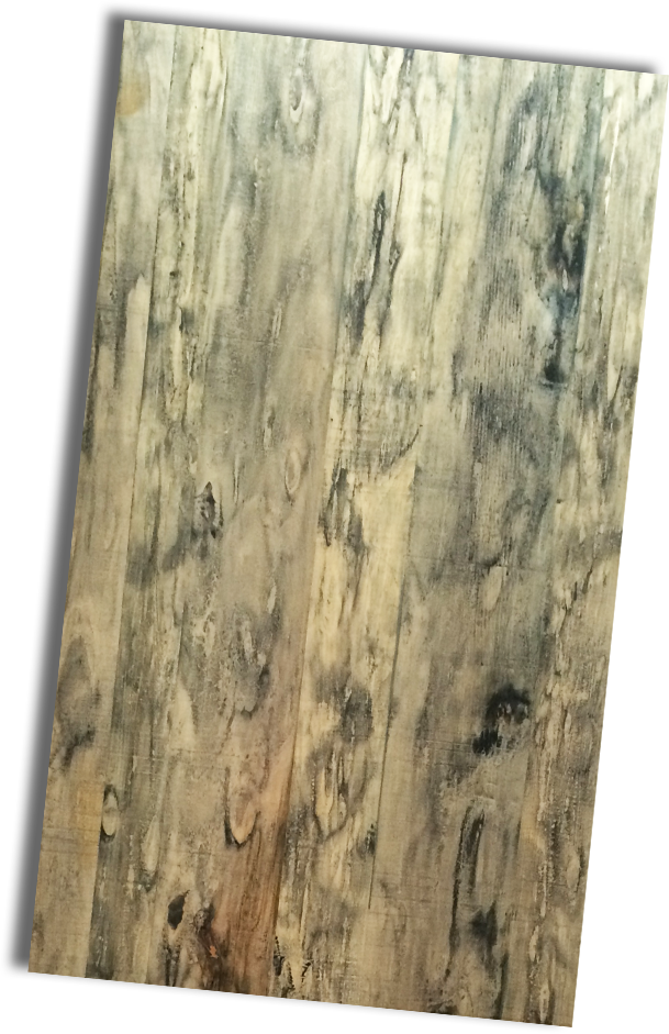 Weathered Veneer Features - Timex Veneer