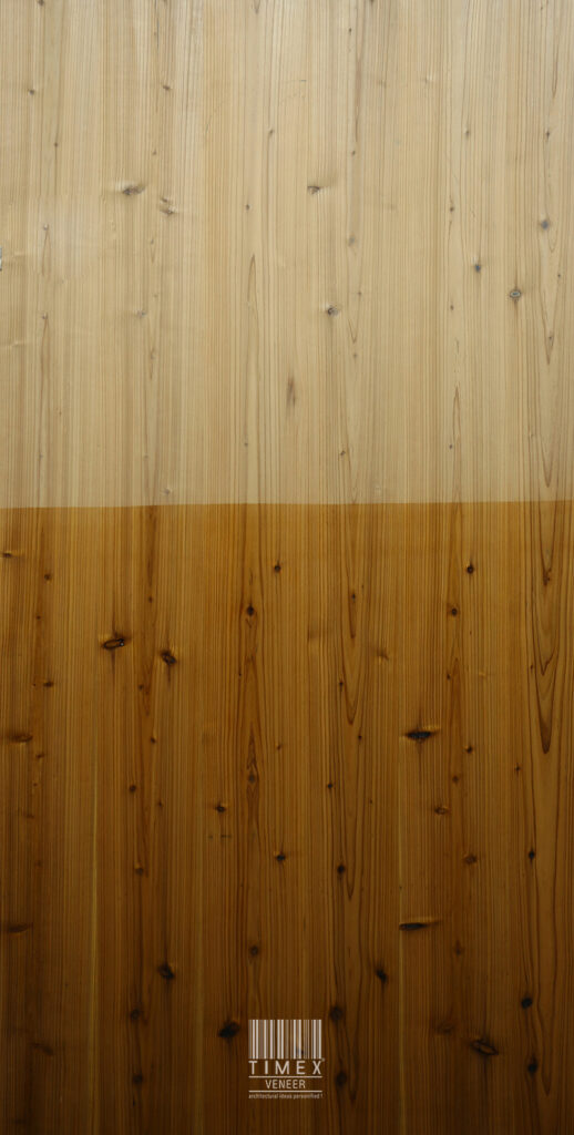 CHARLIE CHESTNUT - Timex Veneer