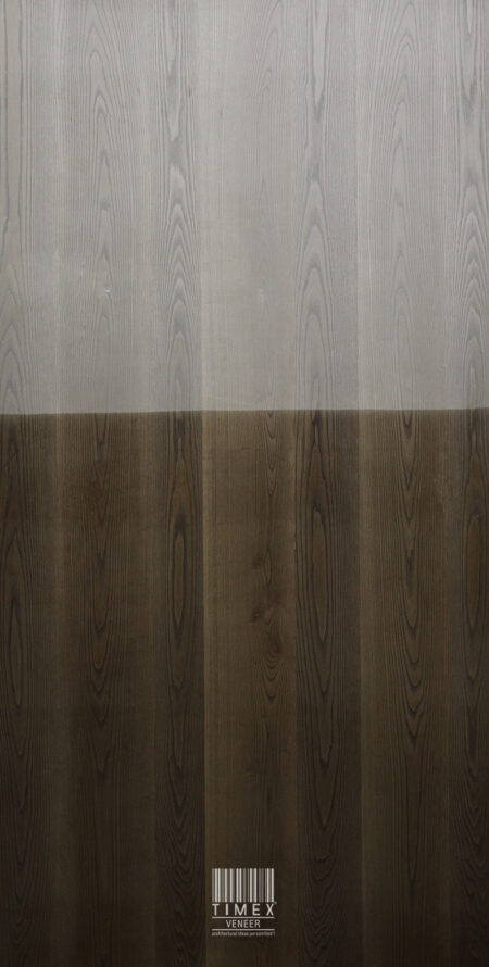 COCO ASH - Timex Veneer