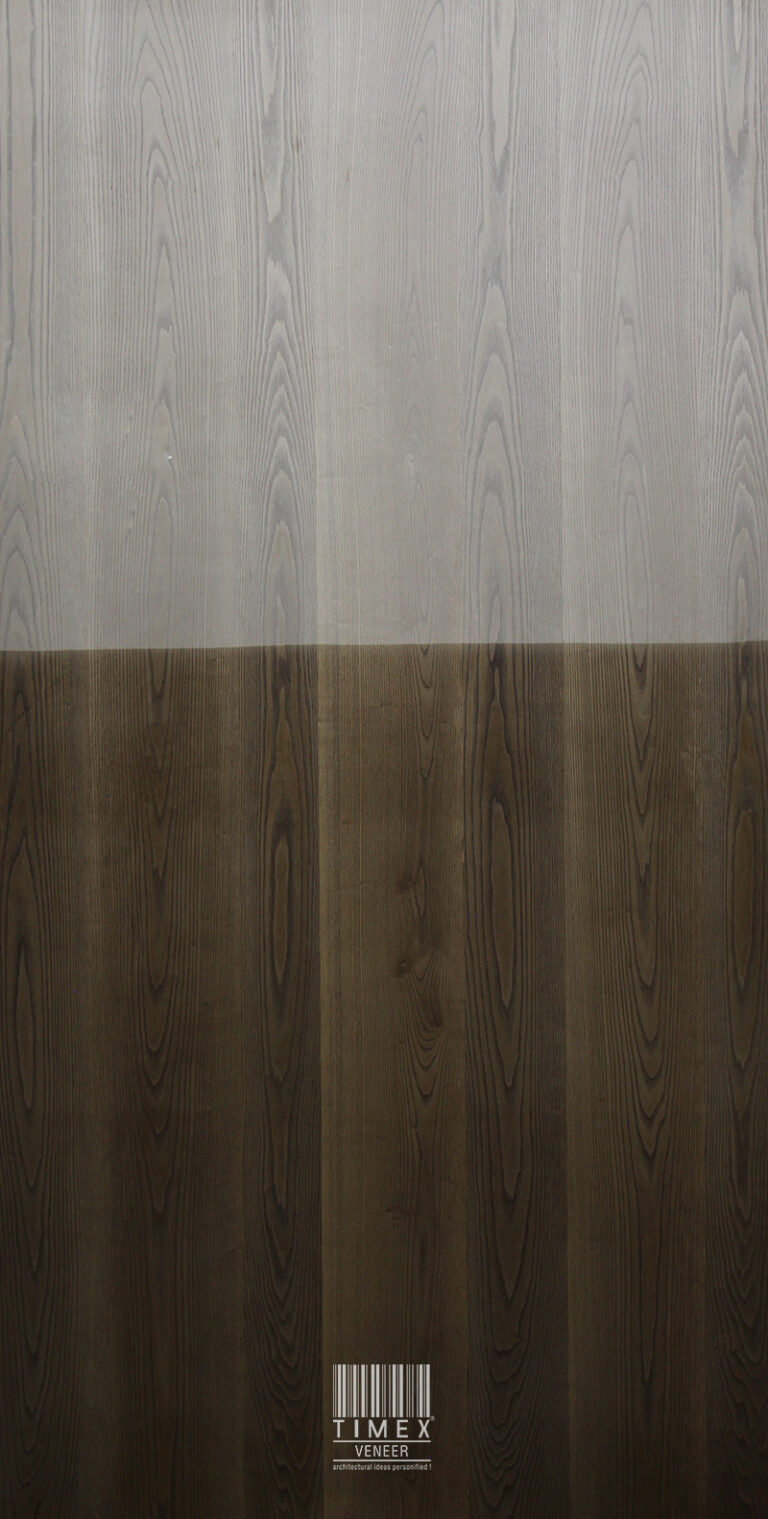 COCO ASH - Timex Veneer