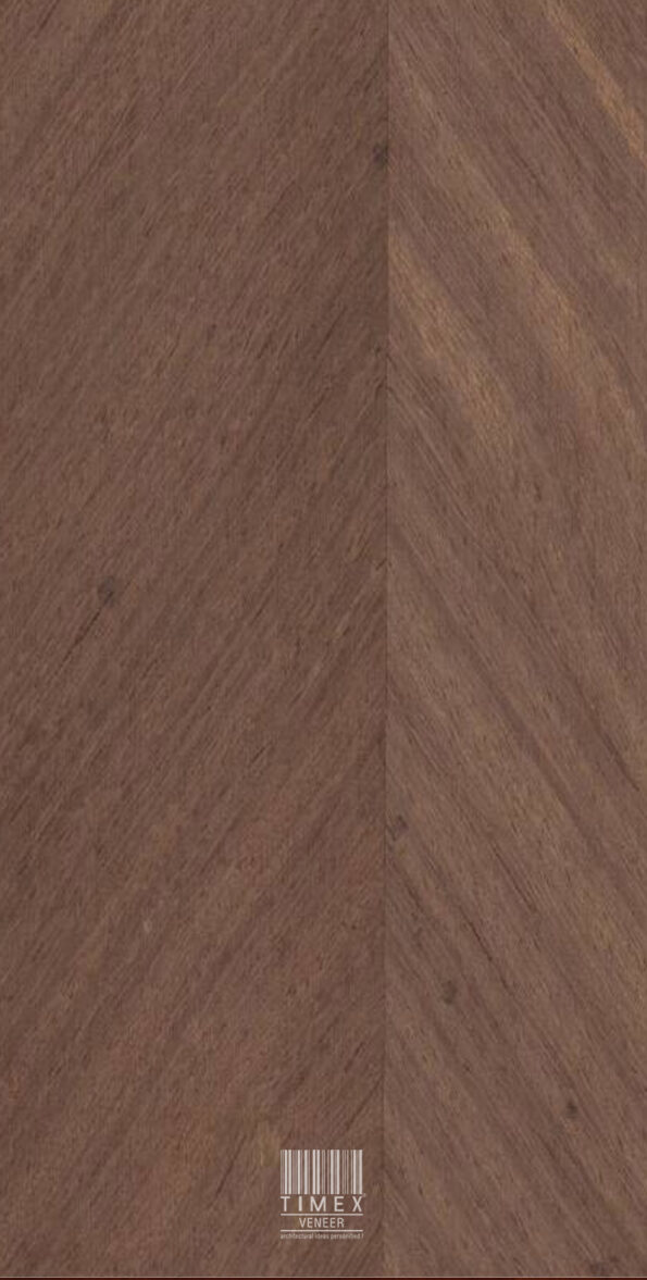 DV-22 - Timex Veneer