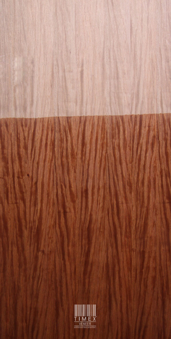 GOLDEN WALNUT - Timex Veneer