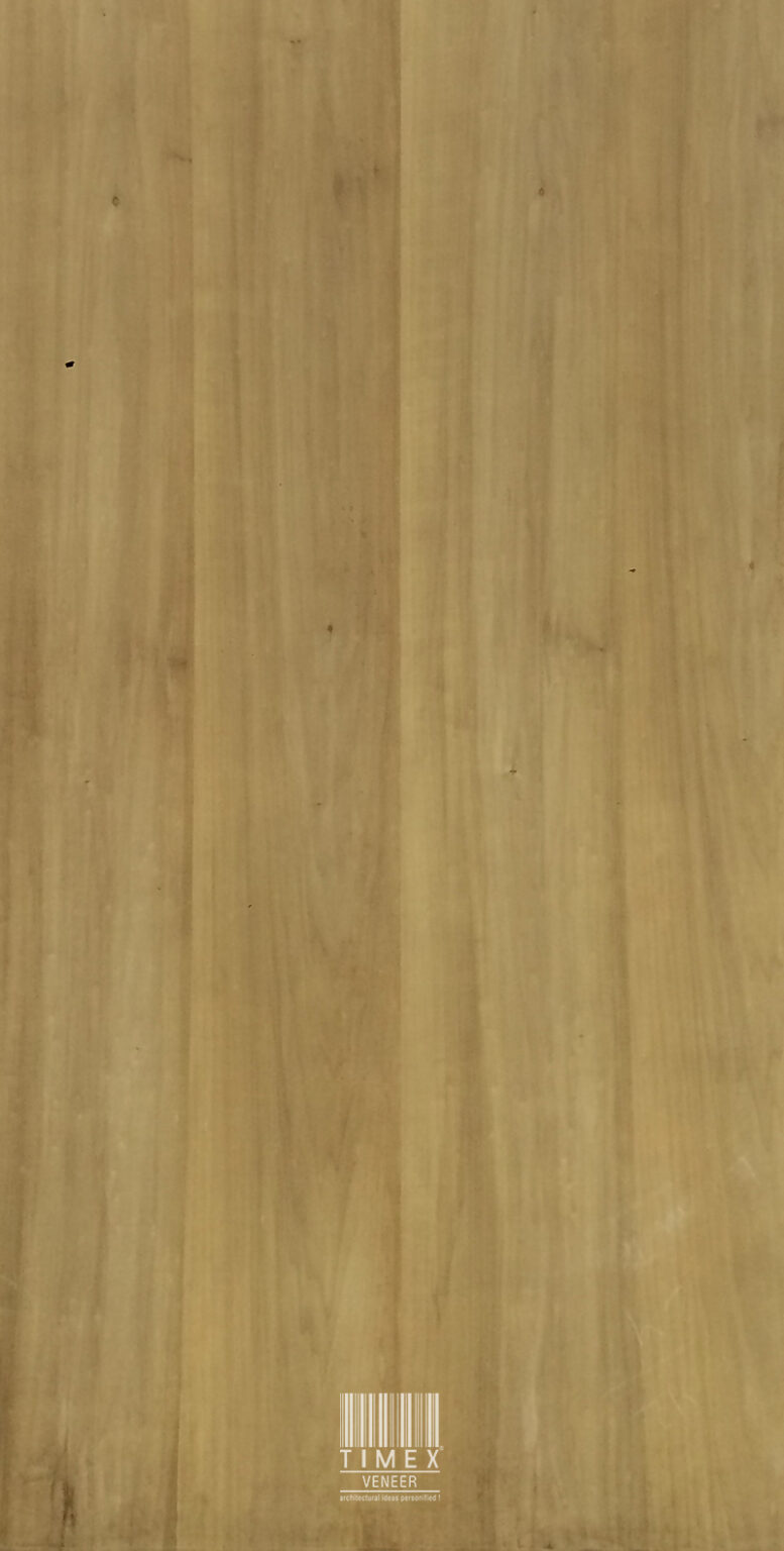JAMBO EVAN TEAK - Timex Veneer