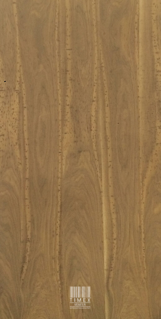 JAMBO ROSTED WALNUT - Timex Veneer