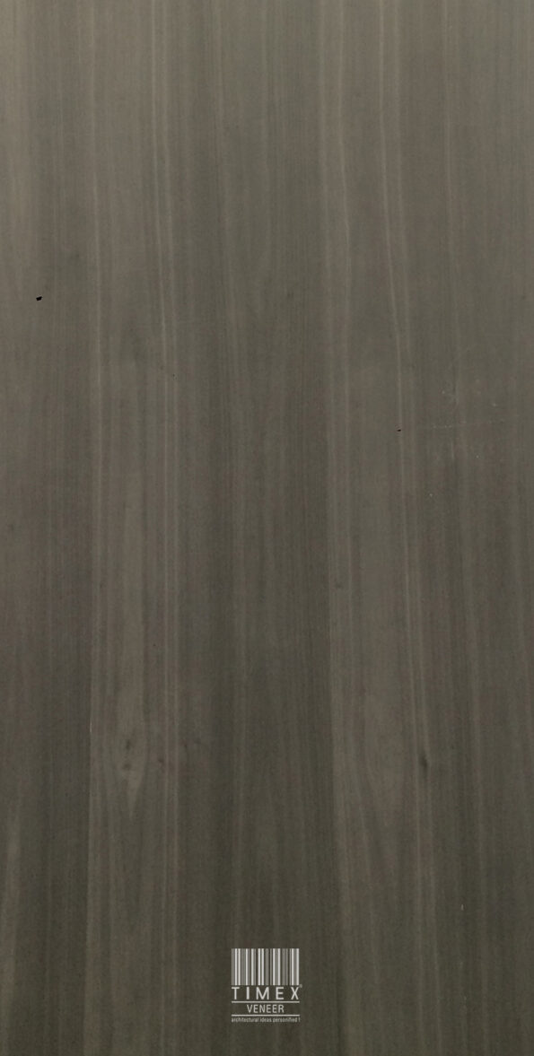 JAMBO GOLDEN TEAK - Timex Veneer