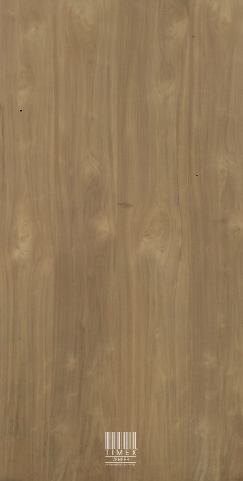 JAMBO AMERICAN WALNUT F.C - Timex Veneer