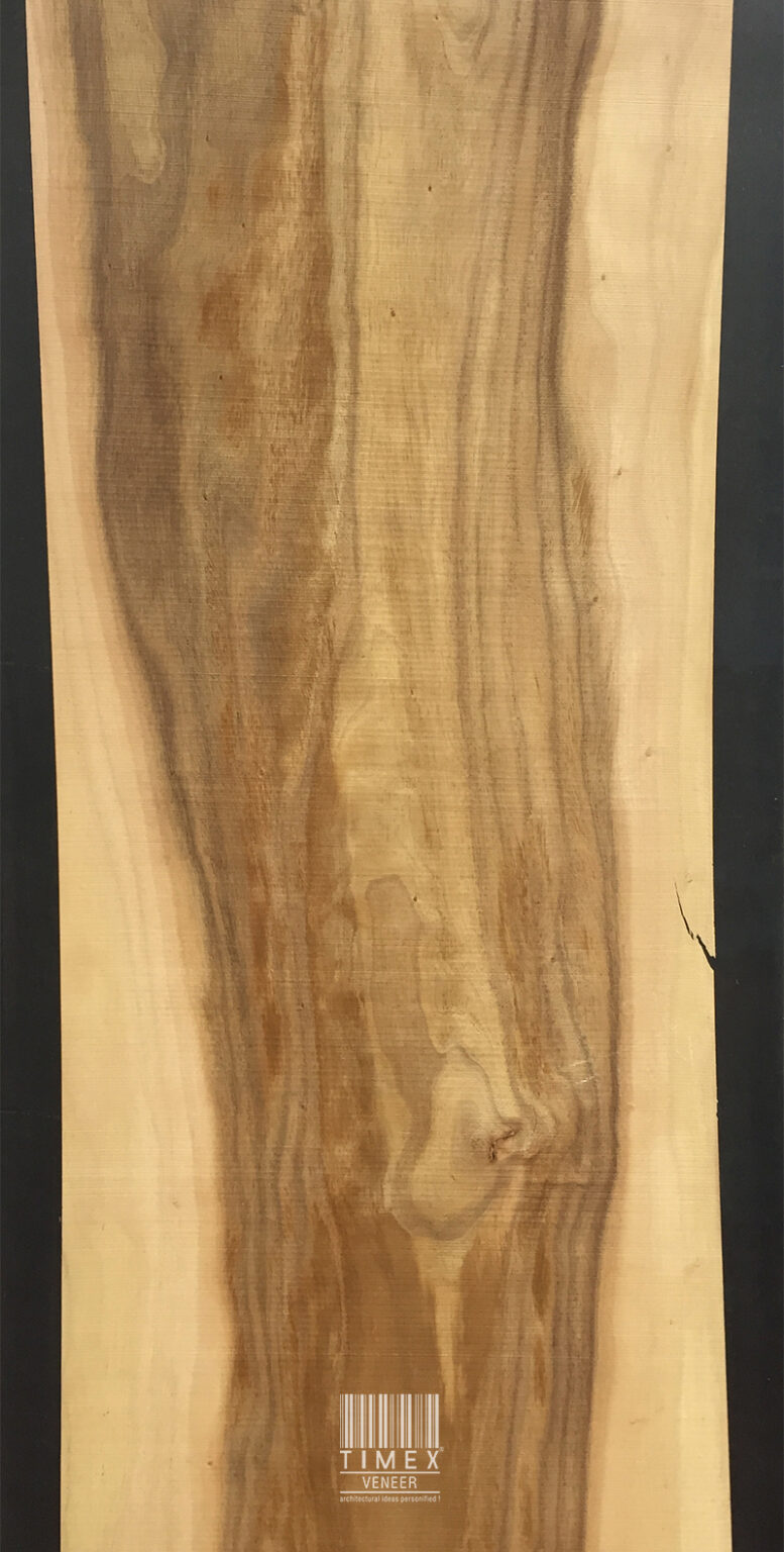 LIVE TREE RUFFTEX RUSIAN CHESTNUT - Timex Veneer