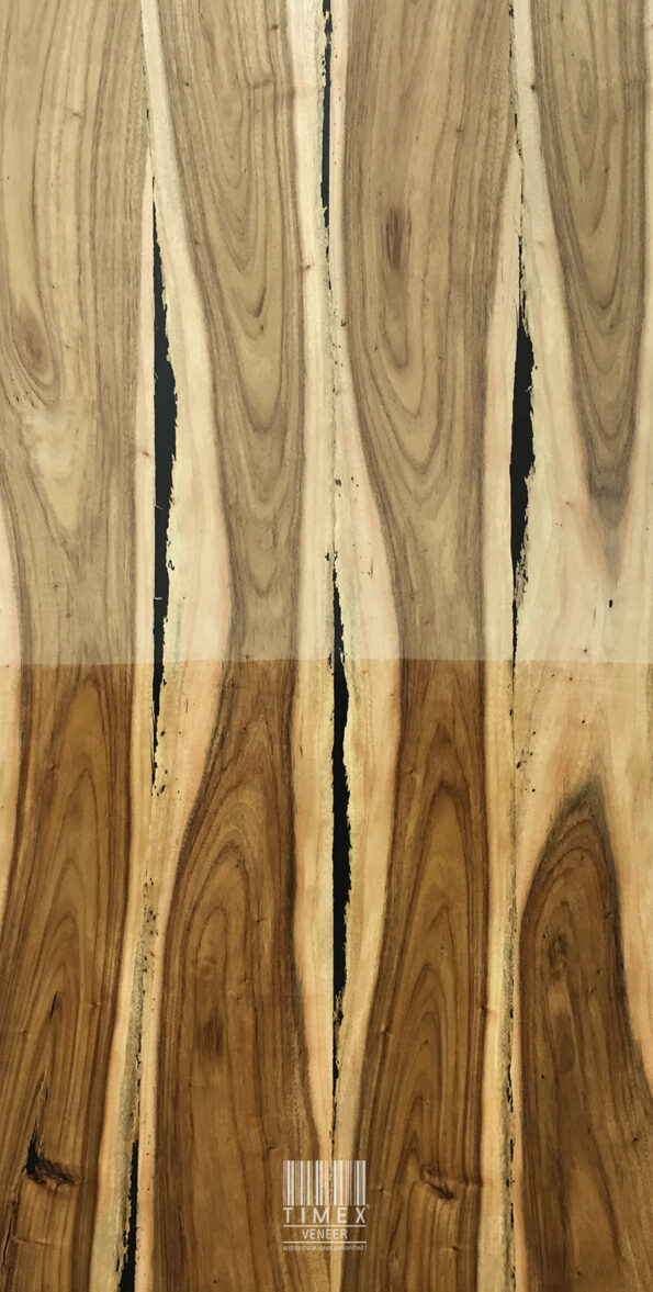 LIVE TREE RUSSIAN CHESTNUT - Timex Veneer
