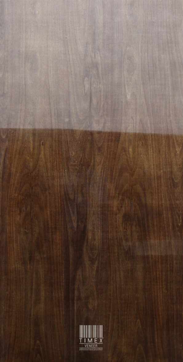 METALIC PLAIN TREE - Timex Veneer