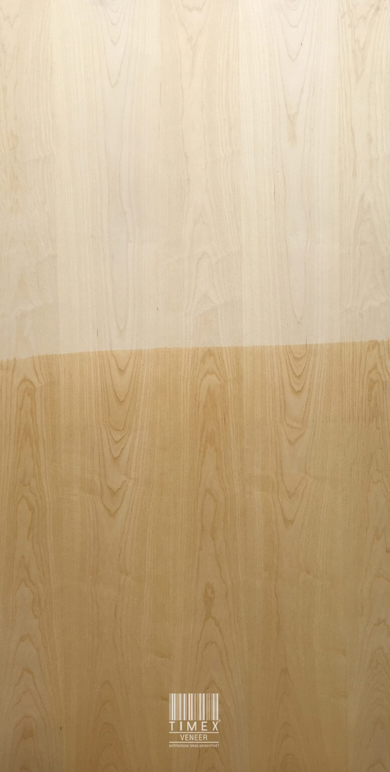 OPEN GRAINS AM ASH - Timex Veneer