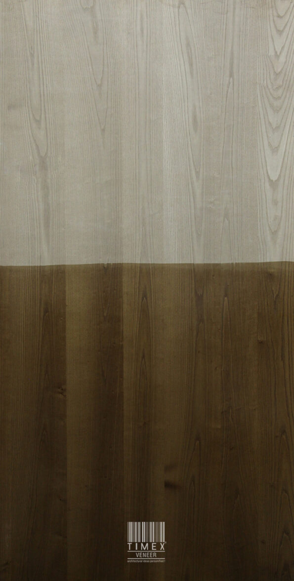 OPEN PORWS SILVERY - Timex Veneer