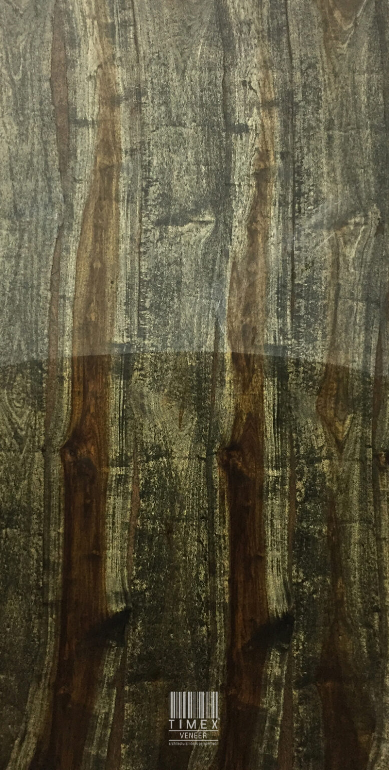 PALM JUMERIA - Timex Veneer