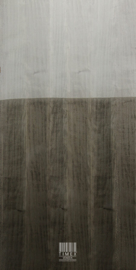 PLAIN TREE STEEL GREY - Timex Veneer