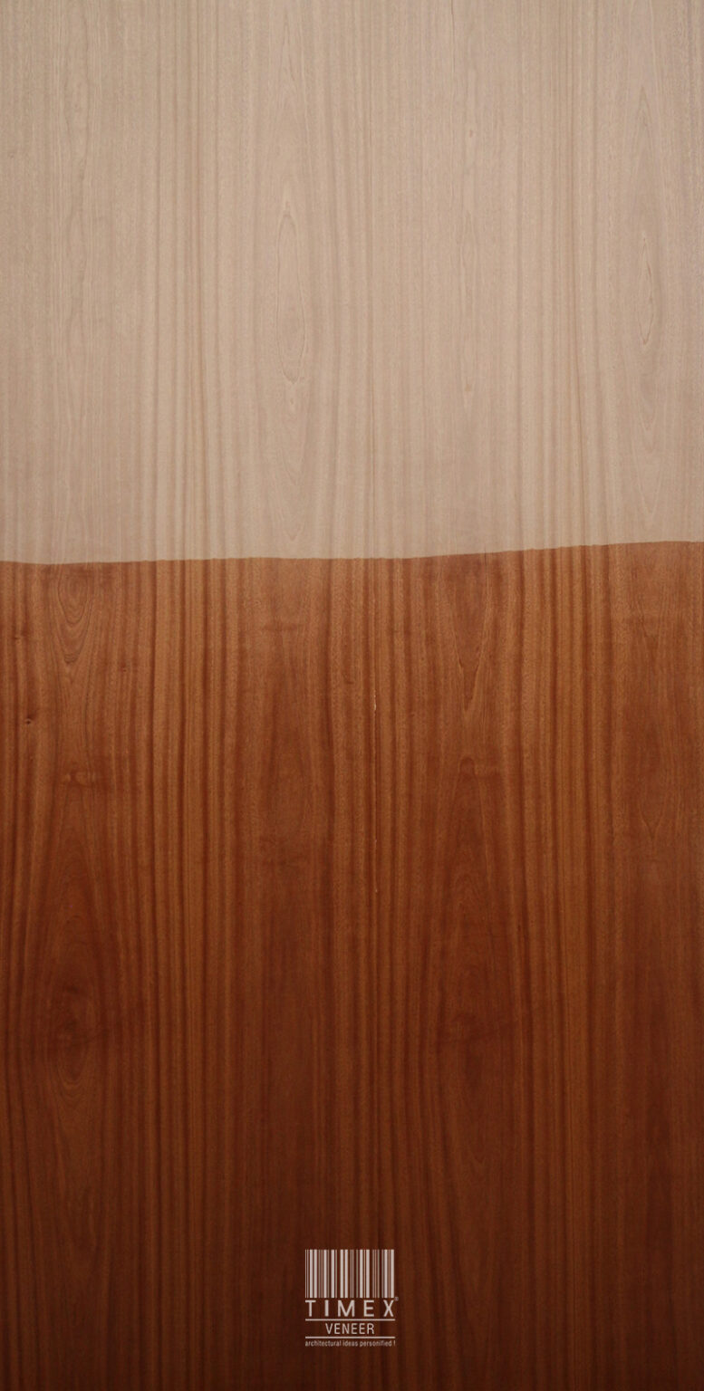 SAPELI CROWN – Timex Veneer
