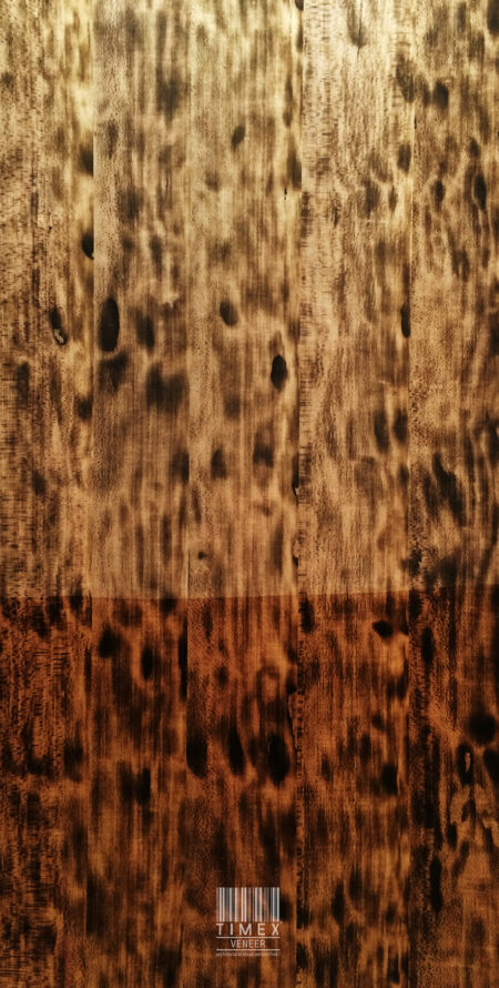 SNAKE WOOD - Timex Veneer
