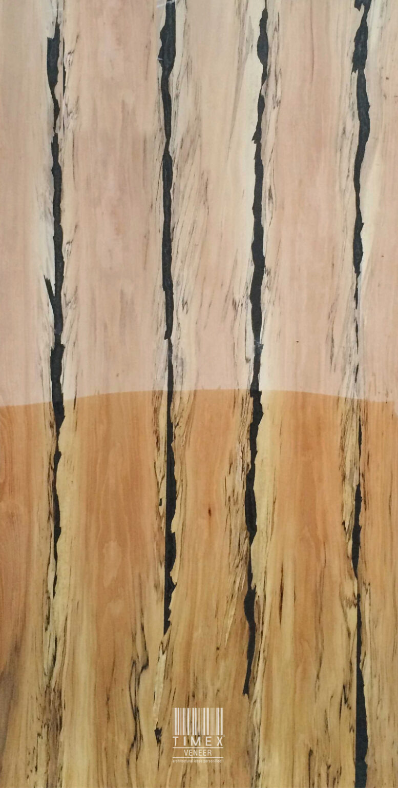 SOLITAIRE JUMBO - Timex Veneer