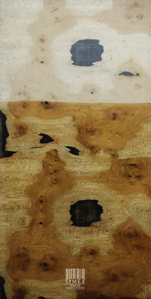 WHITE OAK BURL - Timex Veneer