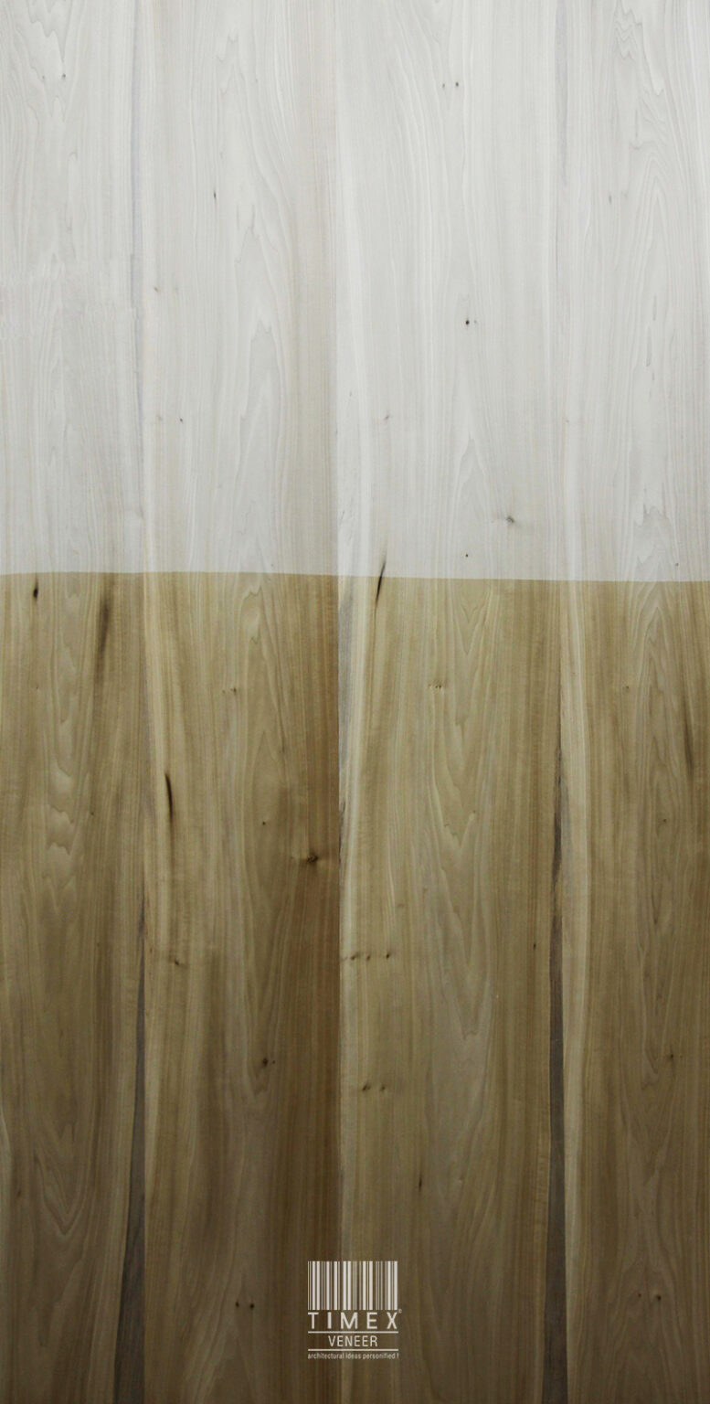 Boliver Noche - Timex Veneer
