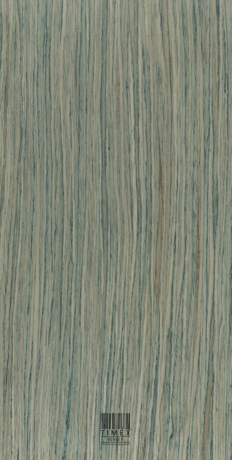 768 - ROMAN GREY - Timex Veneer
