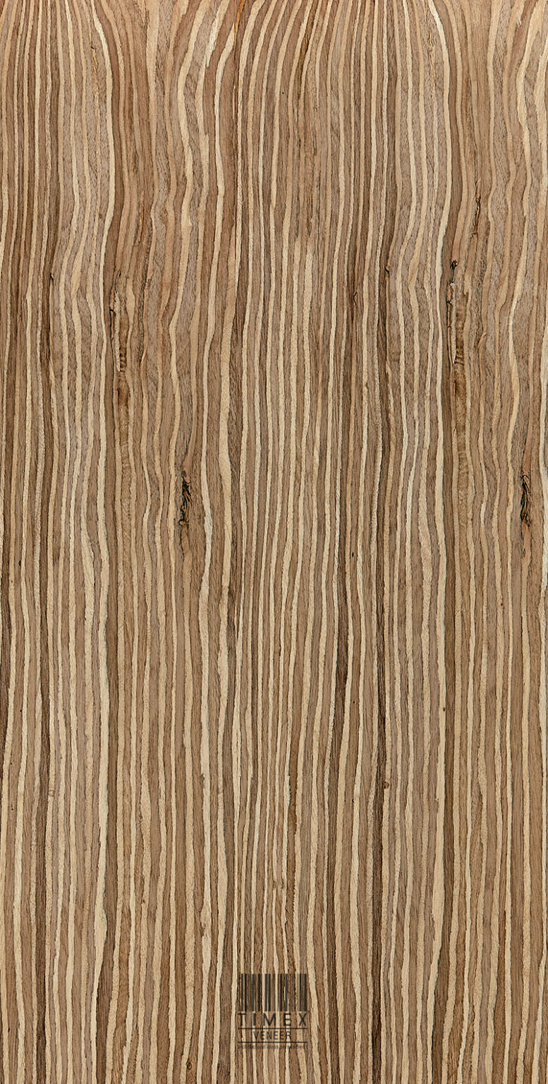 776 - DESSART WOOD - Timex Veneer